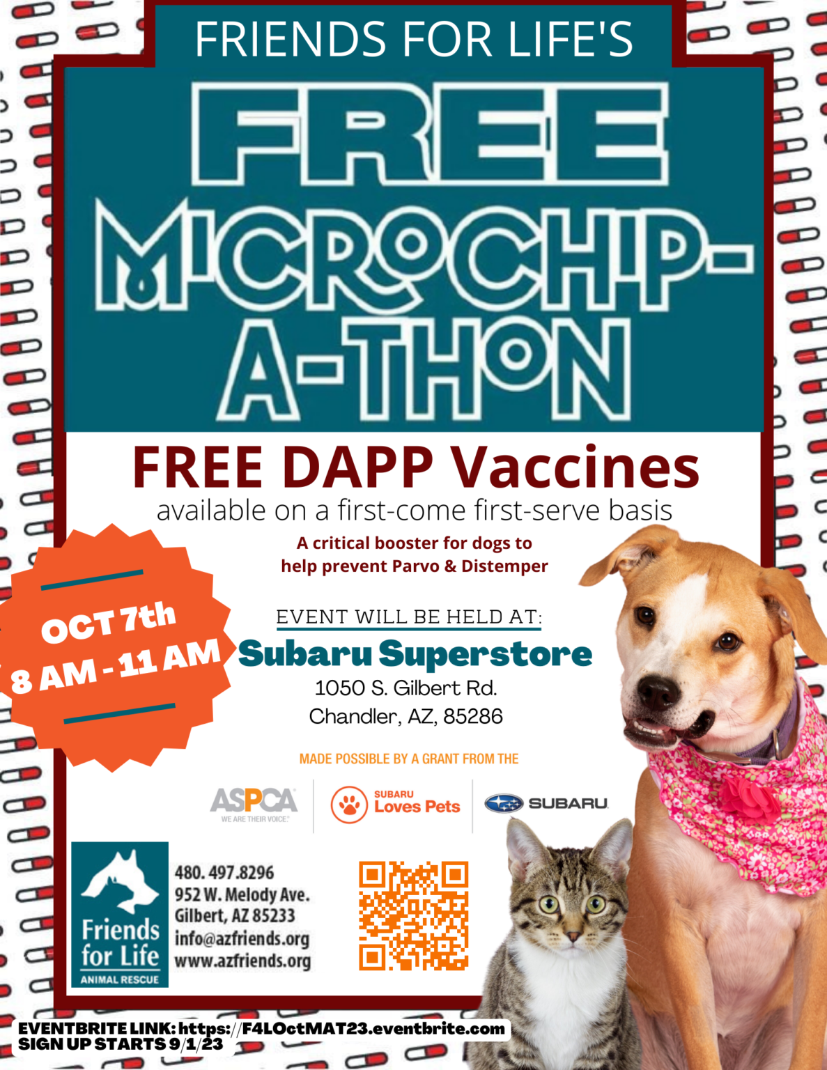 AZ Friends for Life Animal Rescue | Pet Rescue & Shelter | Gilbert, AZ