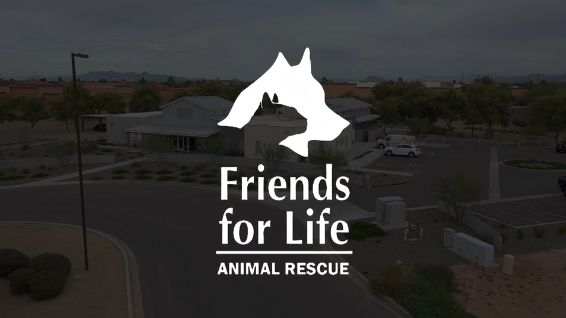 Friends for Life Video » Friends for Life Animal Rescue